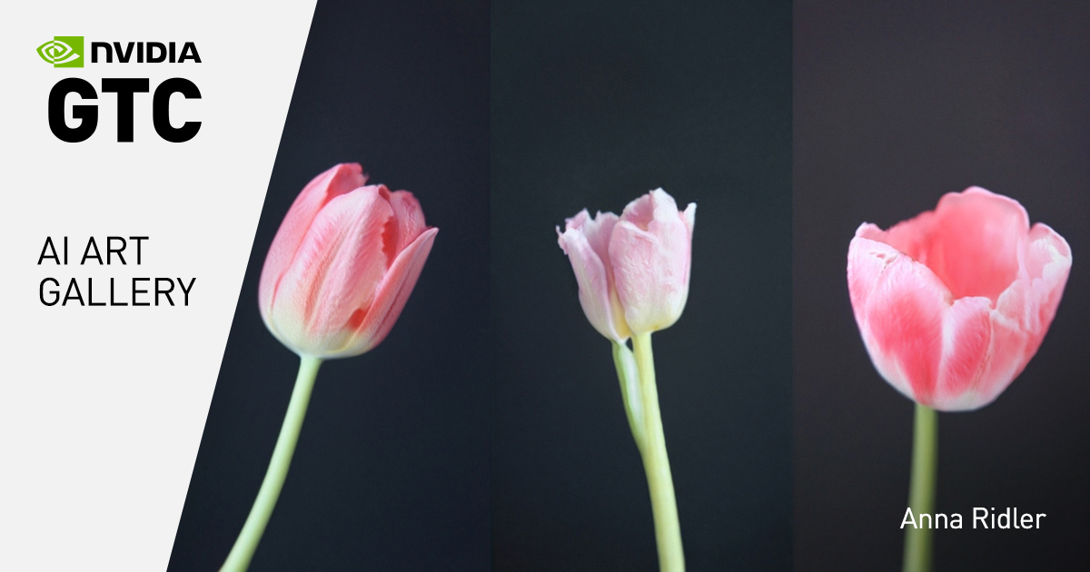 在 GTC 2021 AI 艺术画廊中的 AI 艺术家 Anna Ridley | NVIDIA
