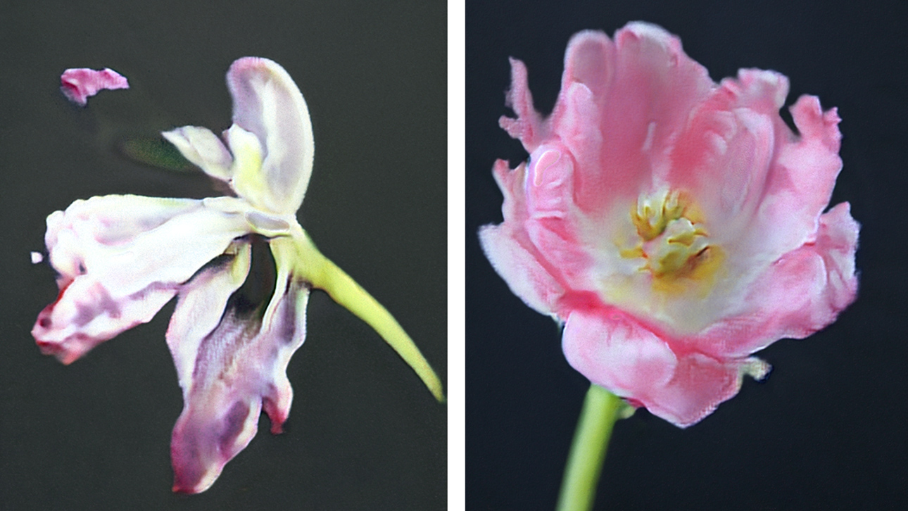 在 GTC 2021 AI 艺术画廊中的 AI 艺术家 Anna Ridley | NVIDIA