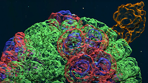 GPU 助力的科学可视化 | NVIDIA