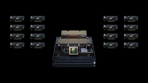 BlueField 数据处理单元 (DPUs)・NVIDIA