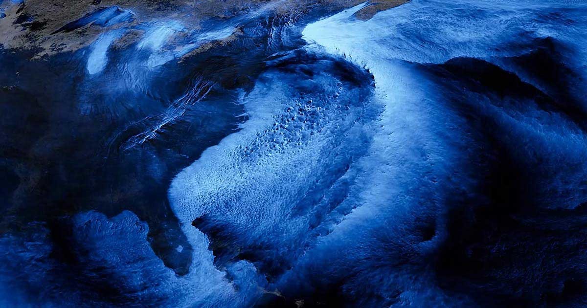 企业可持续发展 | NVIDIA